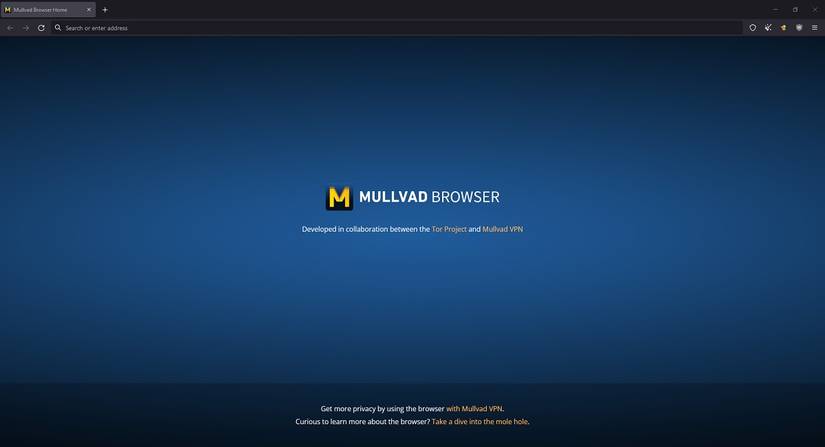 The 7 Best Firefox-Based Web Browsers