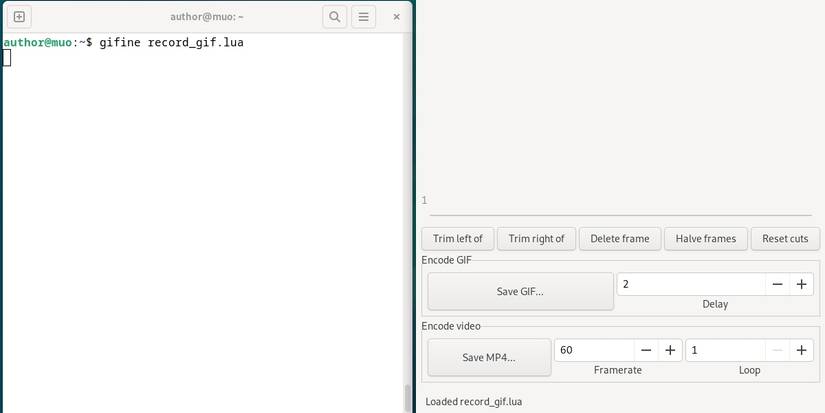 The Top 5 Free GIF Recorders for Linux