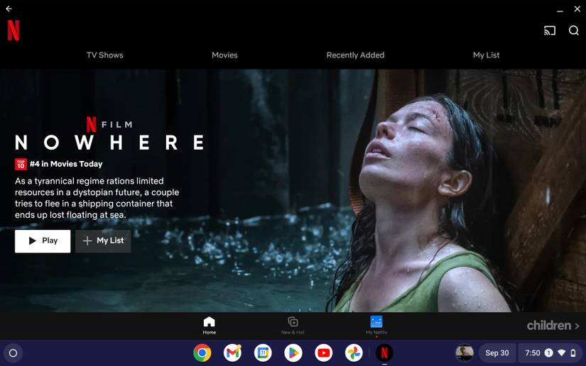How to Install and Watch Netflix on a Chromebook