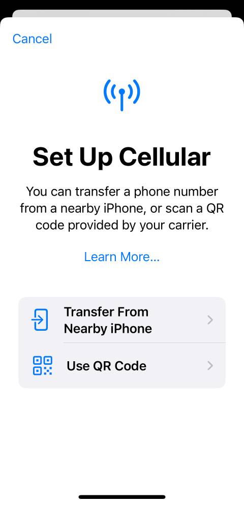 How to Set Up a Google Fi eSIM on an iPhone