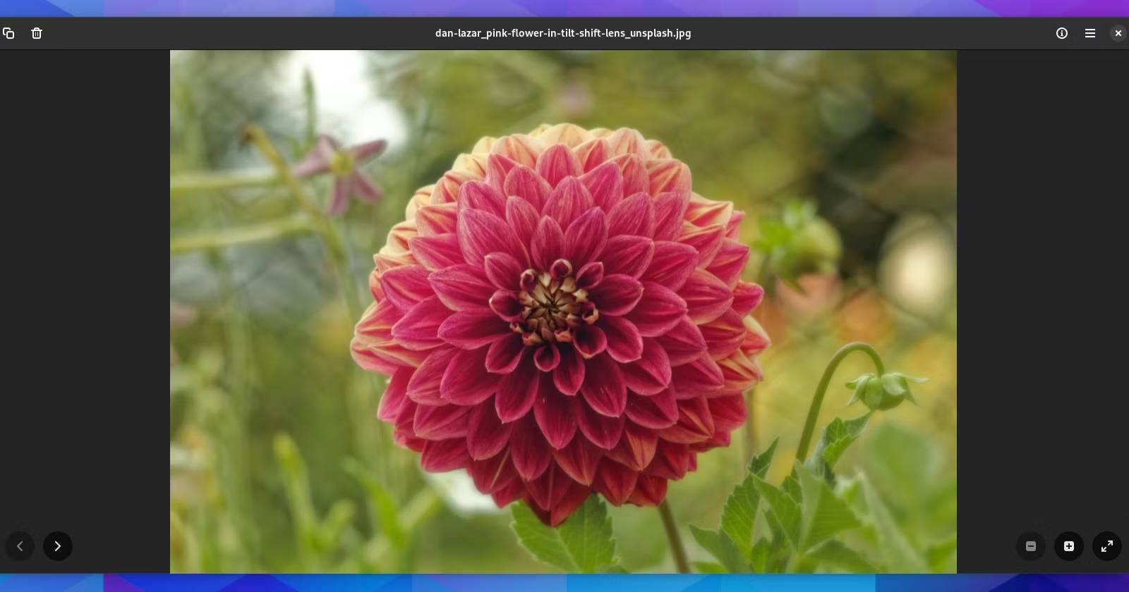 GNOME 45 Introduces New Image Viewer and Camera Apps: Here’s How They Work