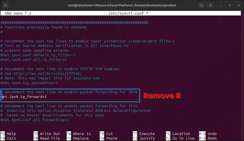 How to Set Up a SoftEther VPN over HTTPS Client on Windows and Linux