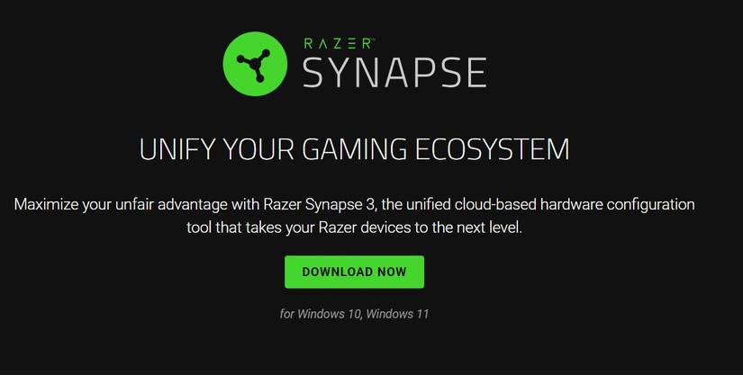 How to Fix Razer Synapse Not Working in Windows 11/10