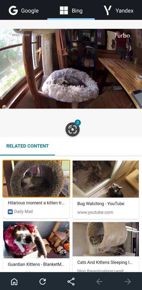 The 10 Best Reverse Image Search Apps for iPhone and Android