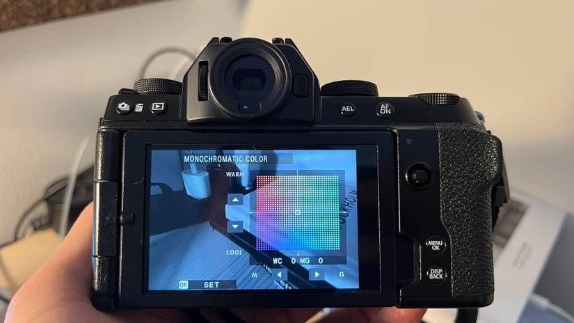 How to Adjust Your In-Camera Settings for Better Photo Colors
