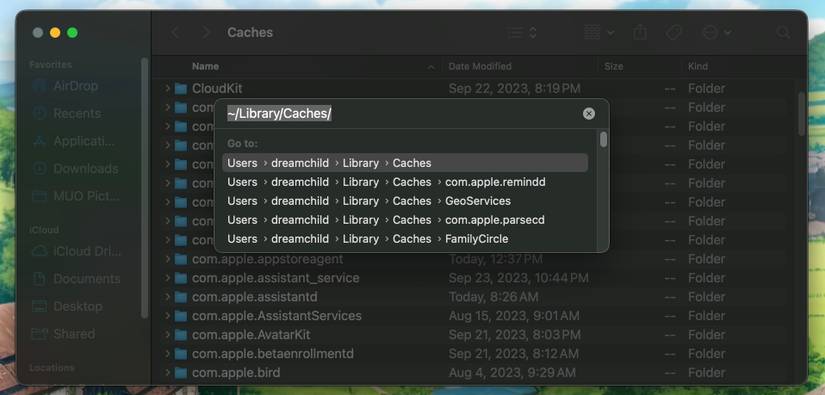 How to Clear the System and Internet Caches on a Mac