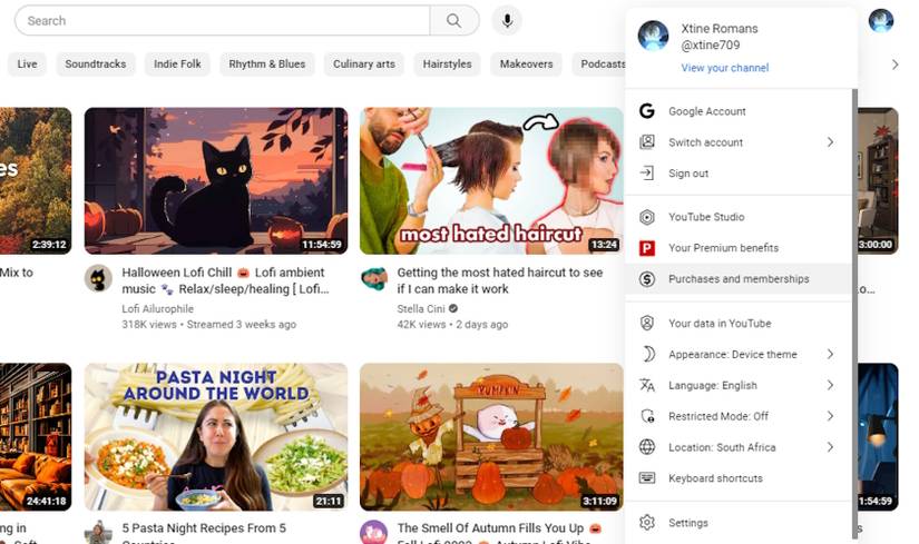 Sharing YouTube Premium: YouTube's Premium Family Plan Explained