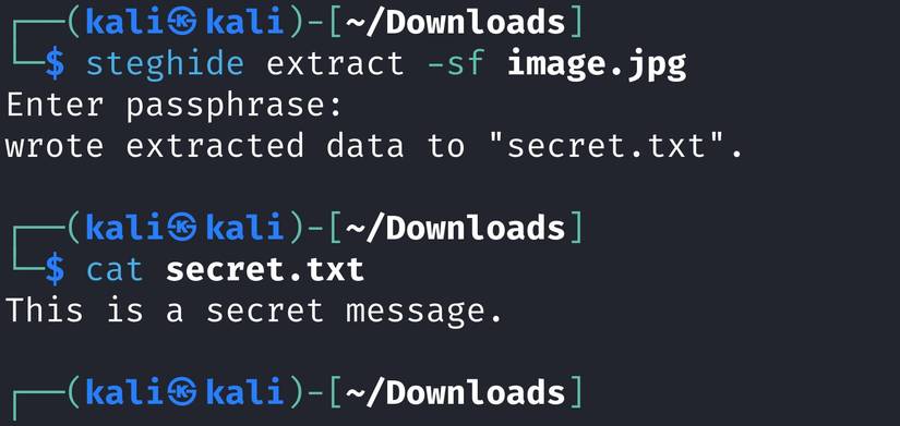 How to Hide Secrets With Steghide: A Guide to Steganography on Linux