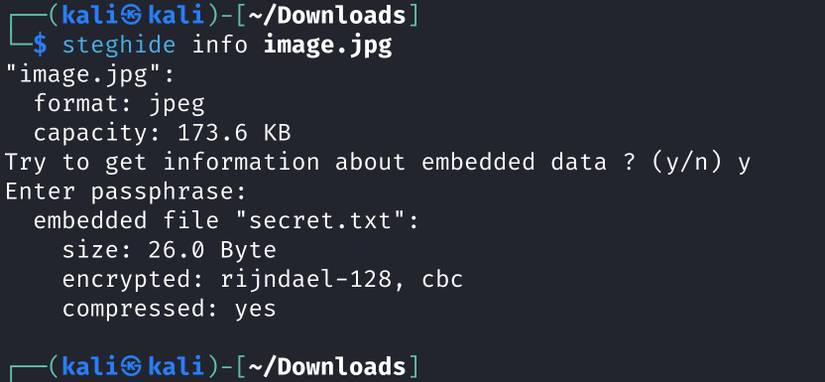 How to Hide Secrets With Steghide: A Guide to Steganography on Linux