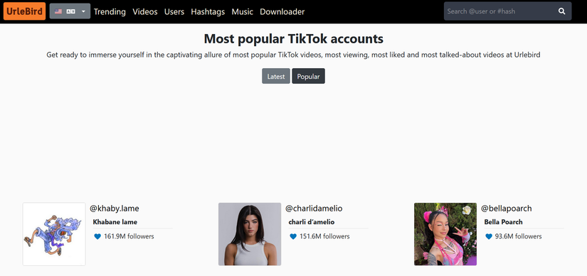 How to Use TikTok Without the App or an Account