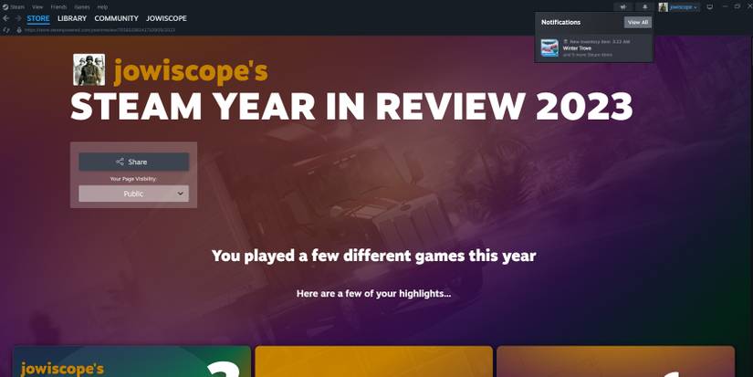 How to View Your Steam Stats for 2023 (and See How You Gamed)