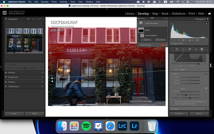 How to Blur a Photo Background in Adobe Lightroom