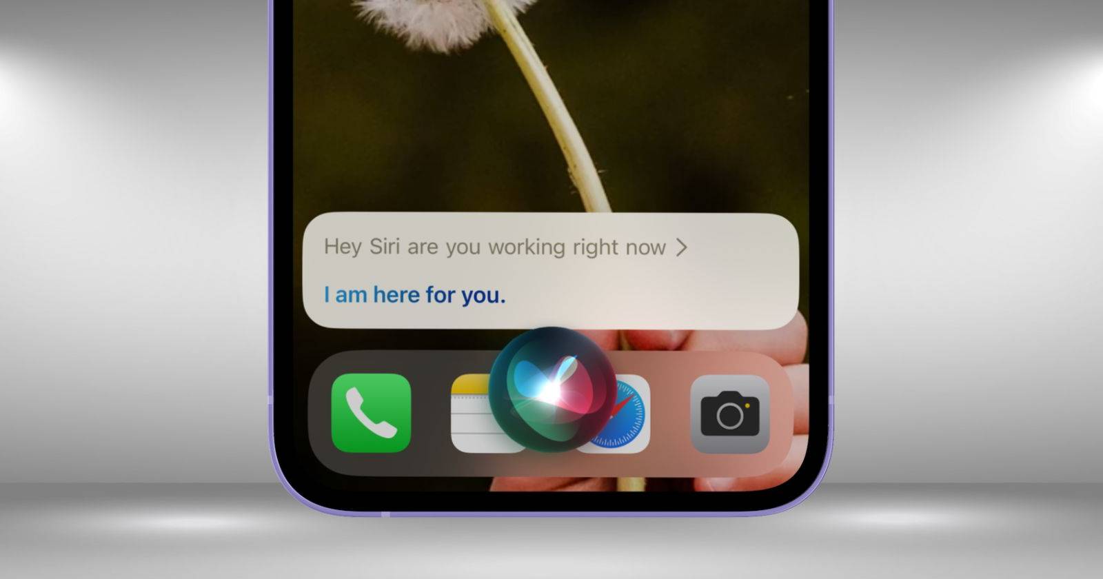 Siri Isn't Working on Your iPhone or iPad? 7 Problems Fixed