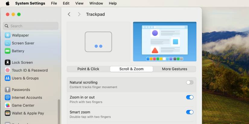 How to Zoom In and Out on a Mac: 4 Methods