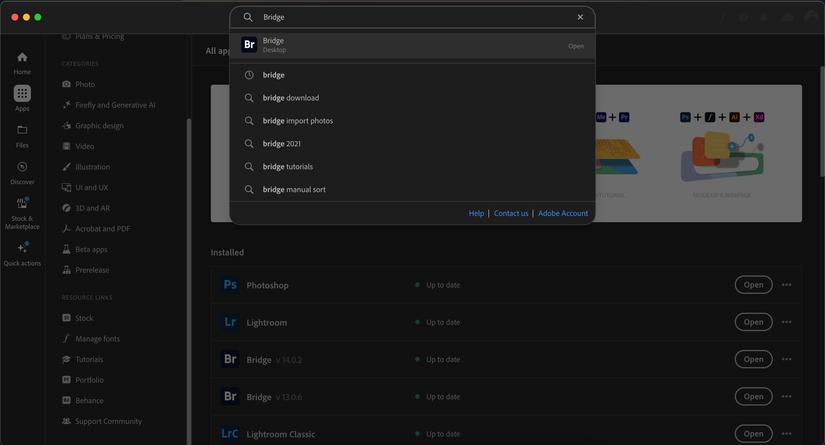 What Is Adobe Bridge? A Beginner's Guide to the Content Management App