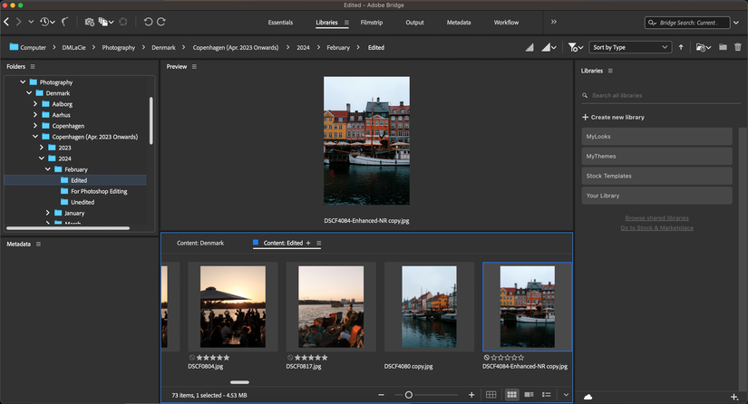 What Is Adobe Bridge? A Beginner's Guide to the Content Management App