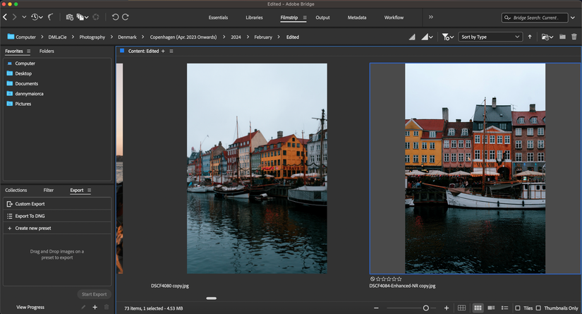 What Is Adobe Bridge? A Beginner's Guide to the Content Management App