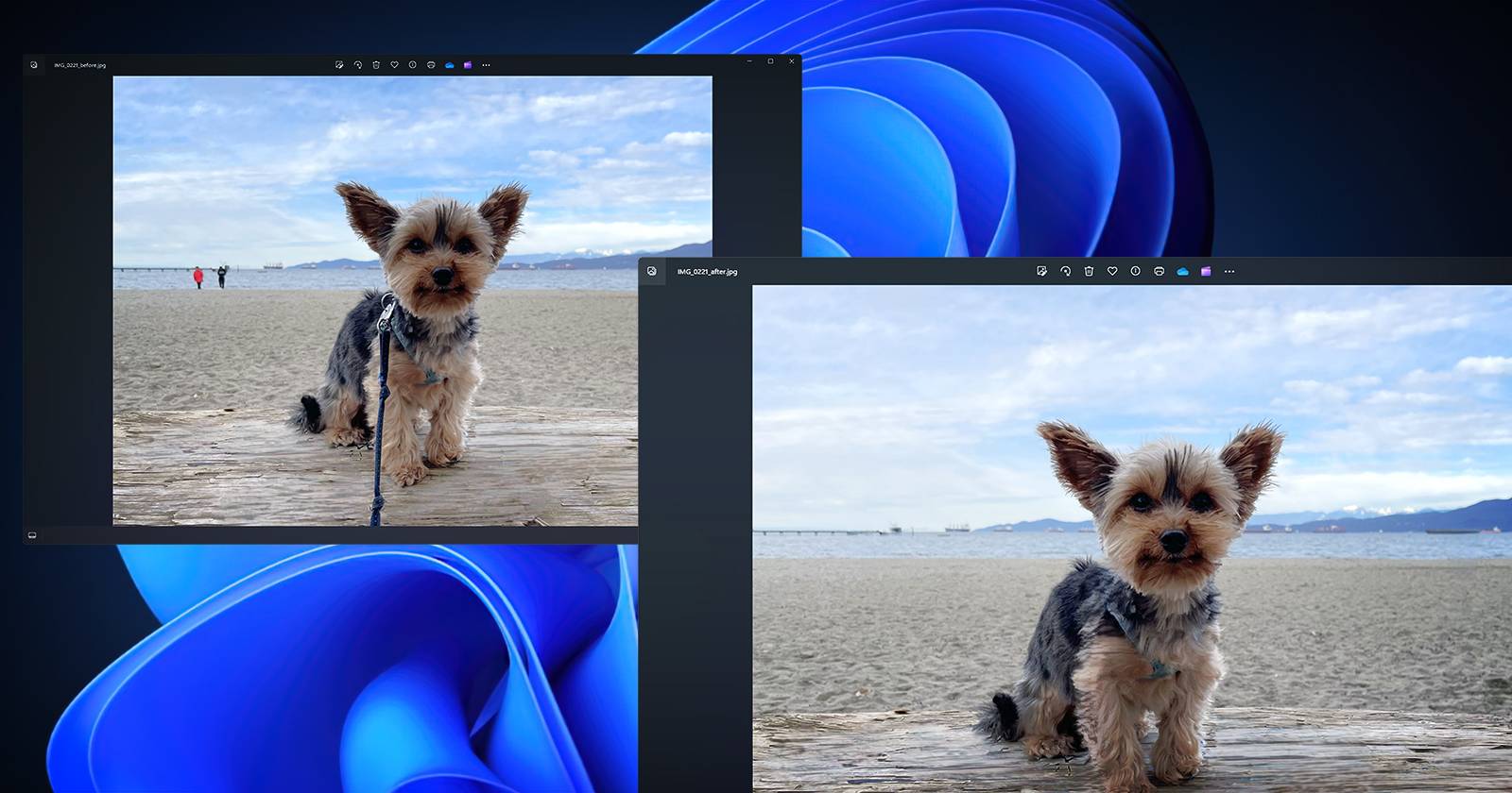 The Windows Photos App's Generative Erase Is Actually Great