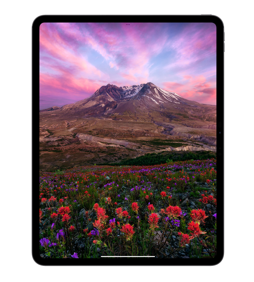 The Best iPads of 2024