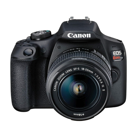 The Best DSLR Cameras