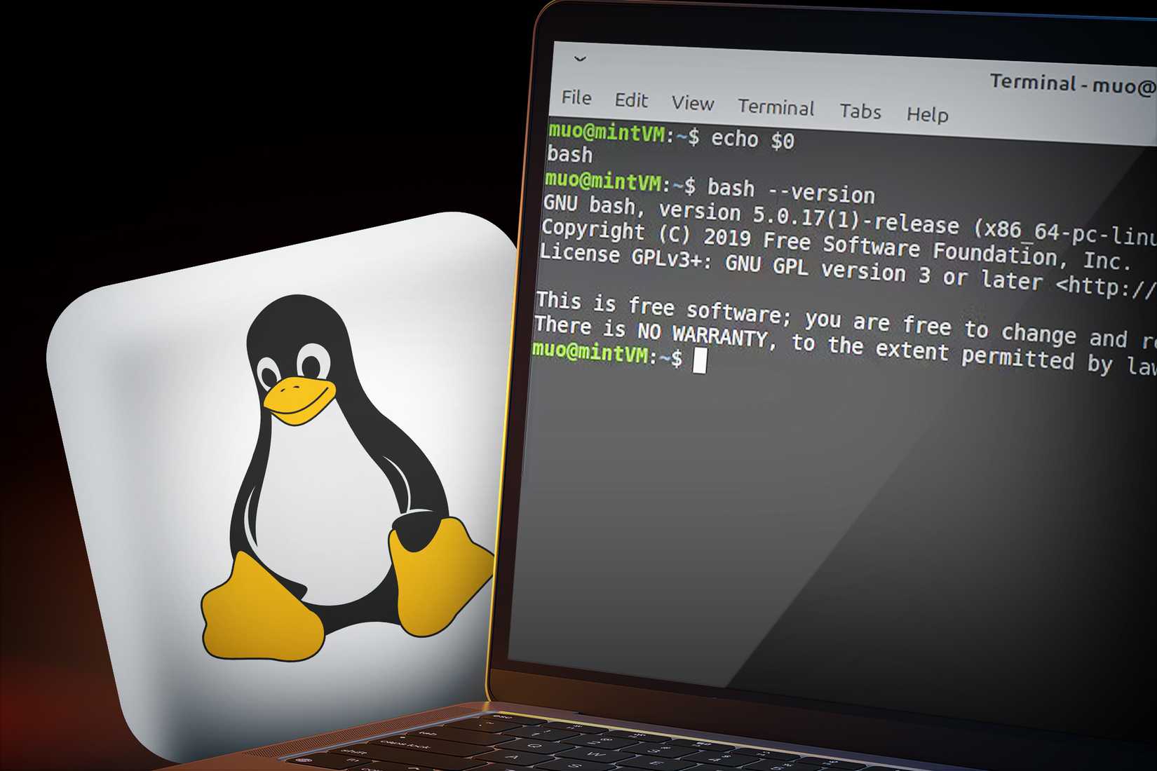 I Left Windows 11 for Linux—Here’s the Best Distro to Start With