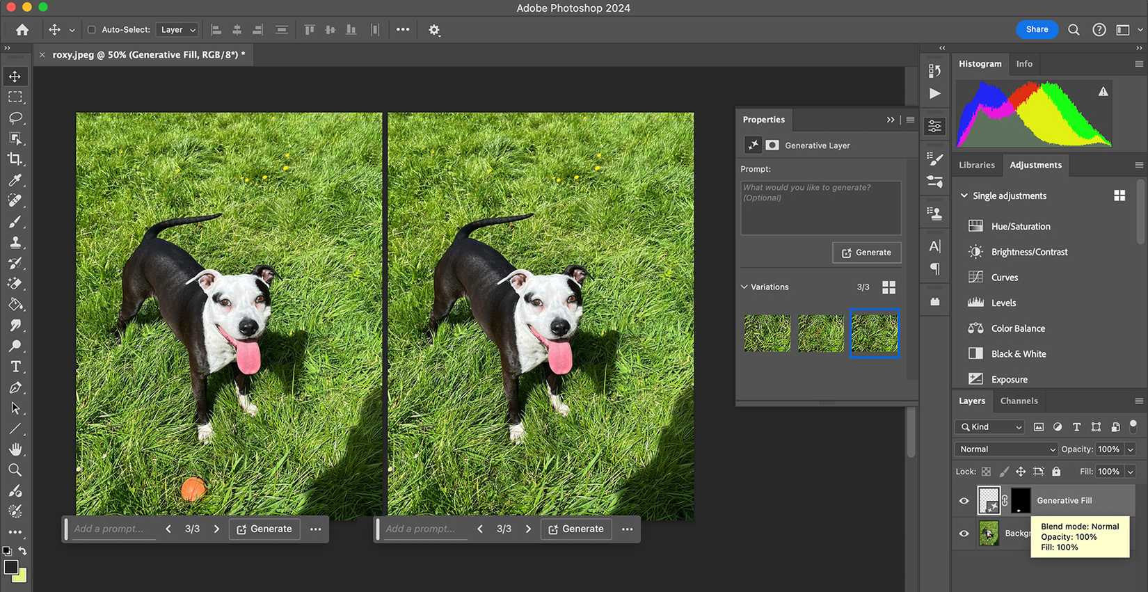 Adobe's Latest Price Hike Means It's Time to Switch to Alternatives
