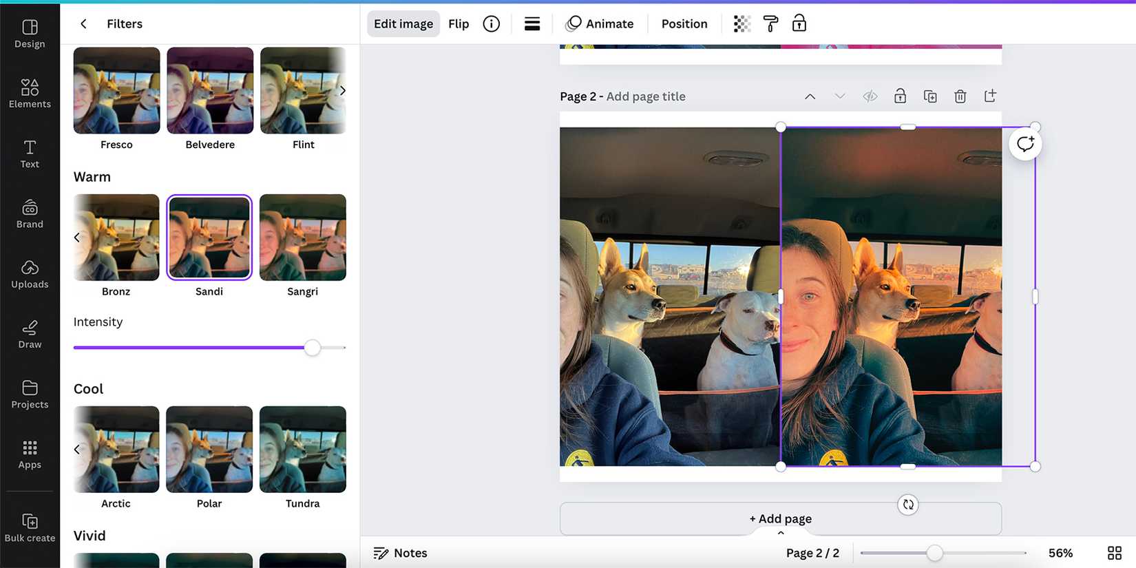 How to Use Canva to Change the Color of an Image, Graphic Element, or Text
