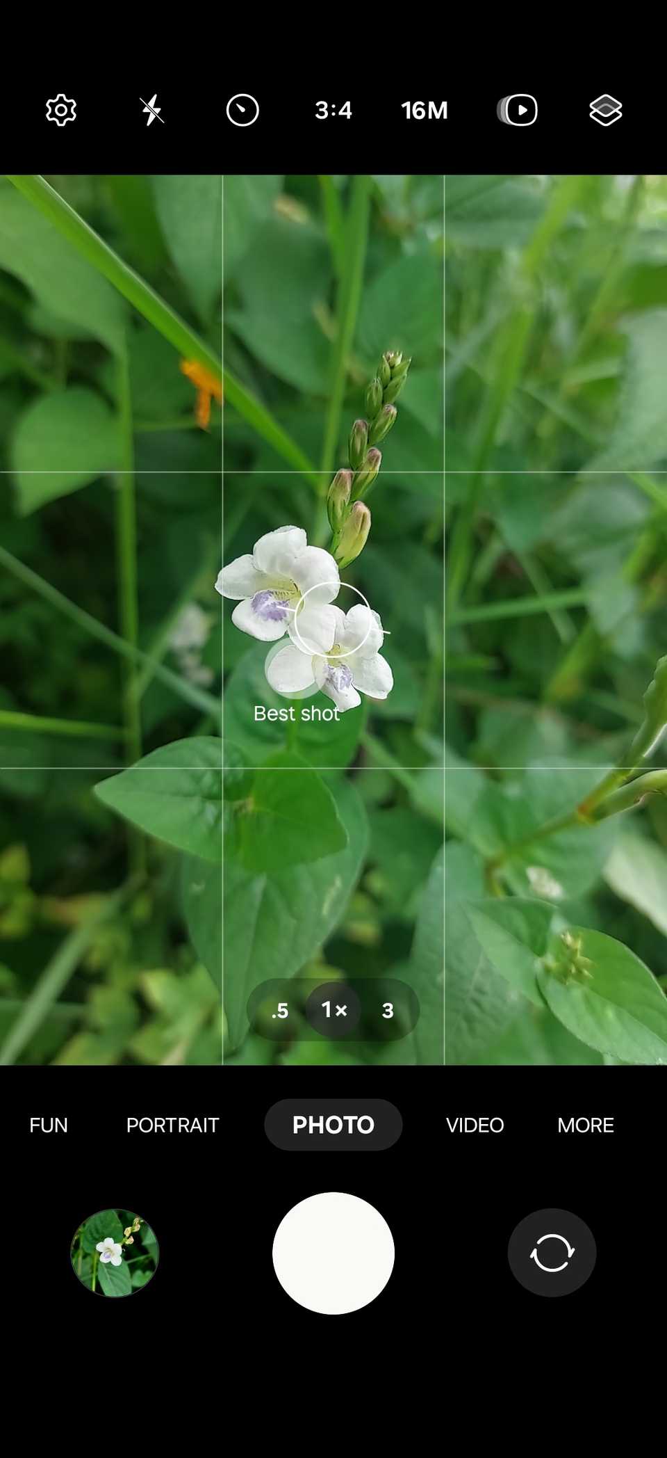 Zooming In vs. Moving Closer: When to Use Each for Better Smartphone Photos