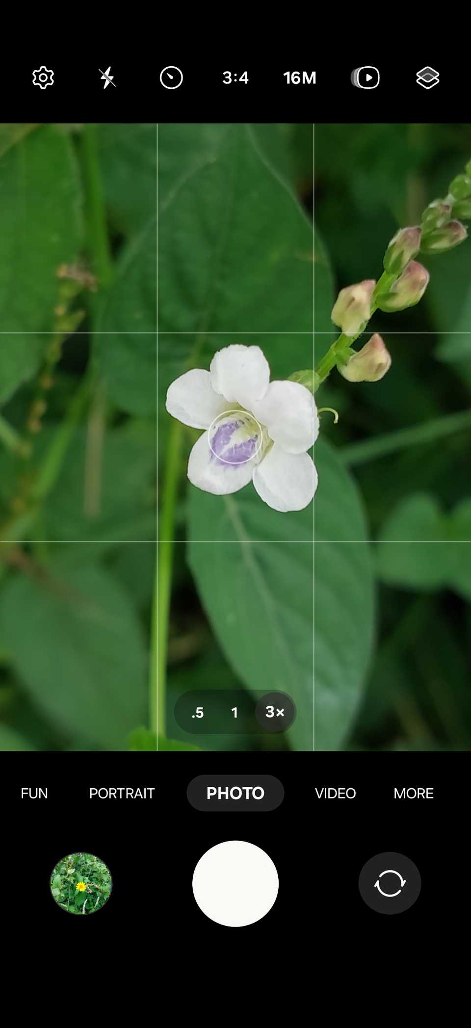 Zooming In vs. Moving Closer: When to Use Each for Better Smartphone Photos