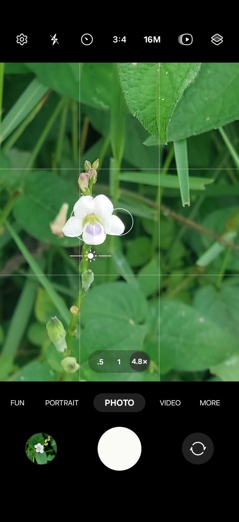 Zooming In vs. Moving Closer: When to Use Each for Better Smartphone Photos