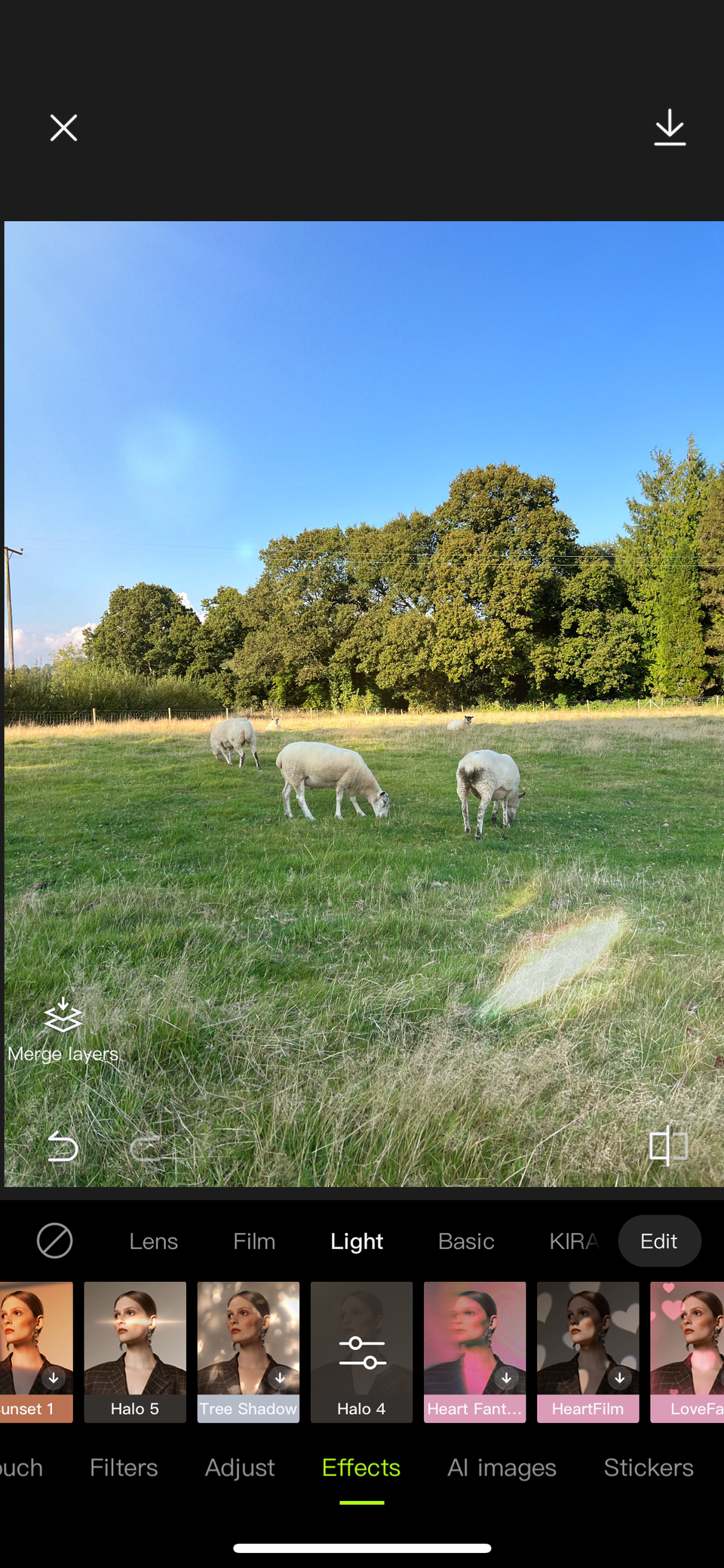 7 Reasons Why This App Is Becoming My Favorite Free Photo Editor