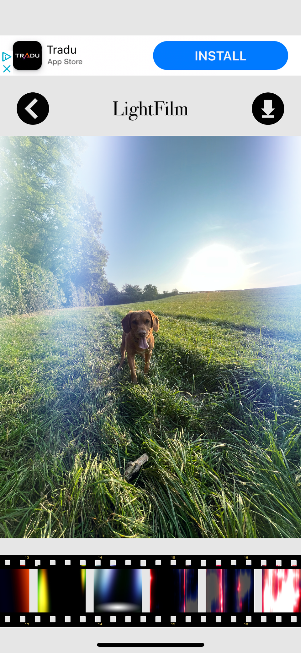 How I Add Realistic Lens Flares to My Smartphone Photos Using These ...