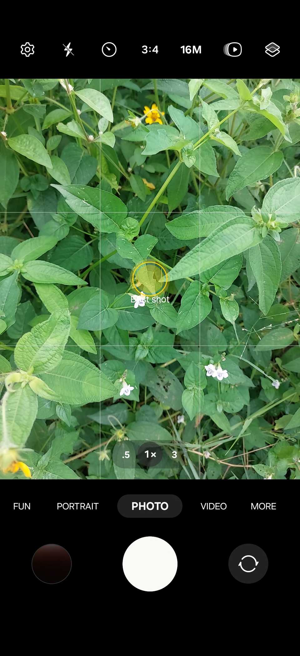 How to Nail Your Smartphone Photos Every Time Using This Beginner ...