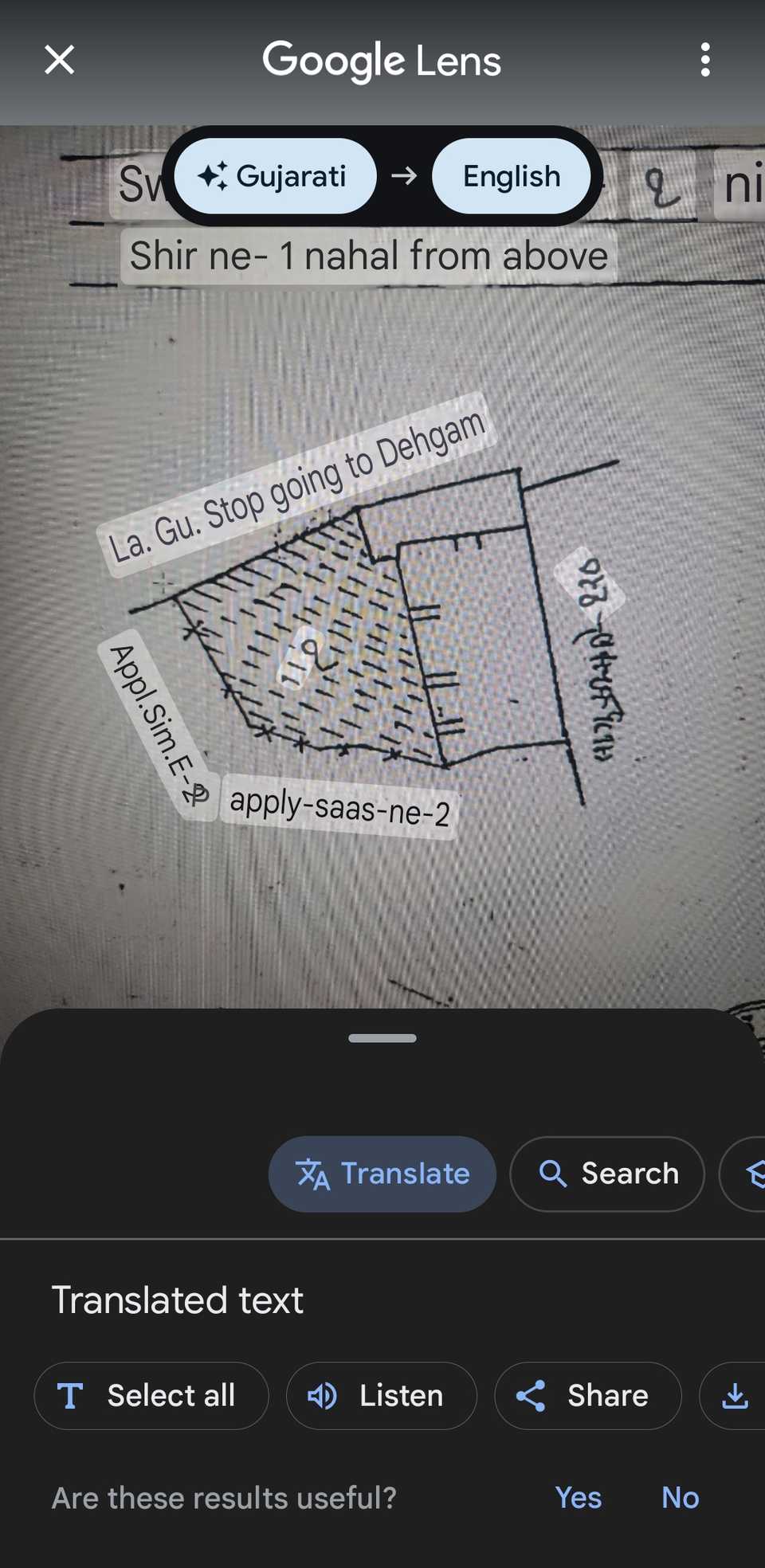 10 Google Photos Tips and Tricks You Shouldn't Miss