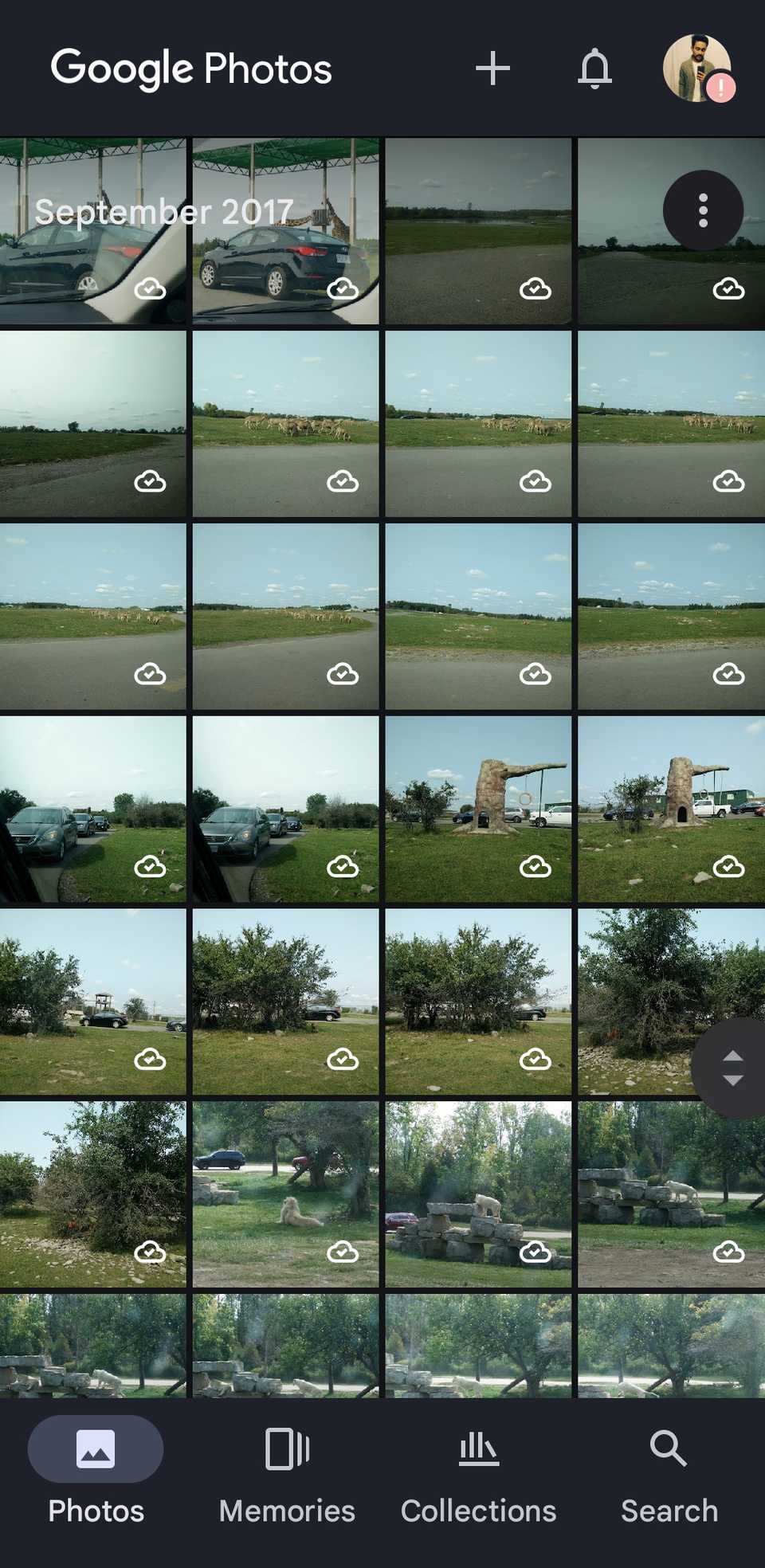 10 Google Photos Tips and Tricks You Shouldn't Miss