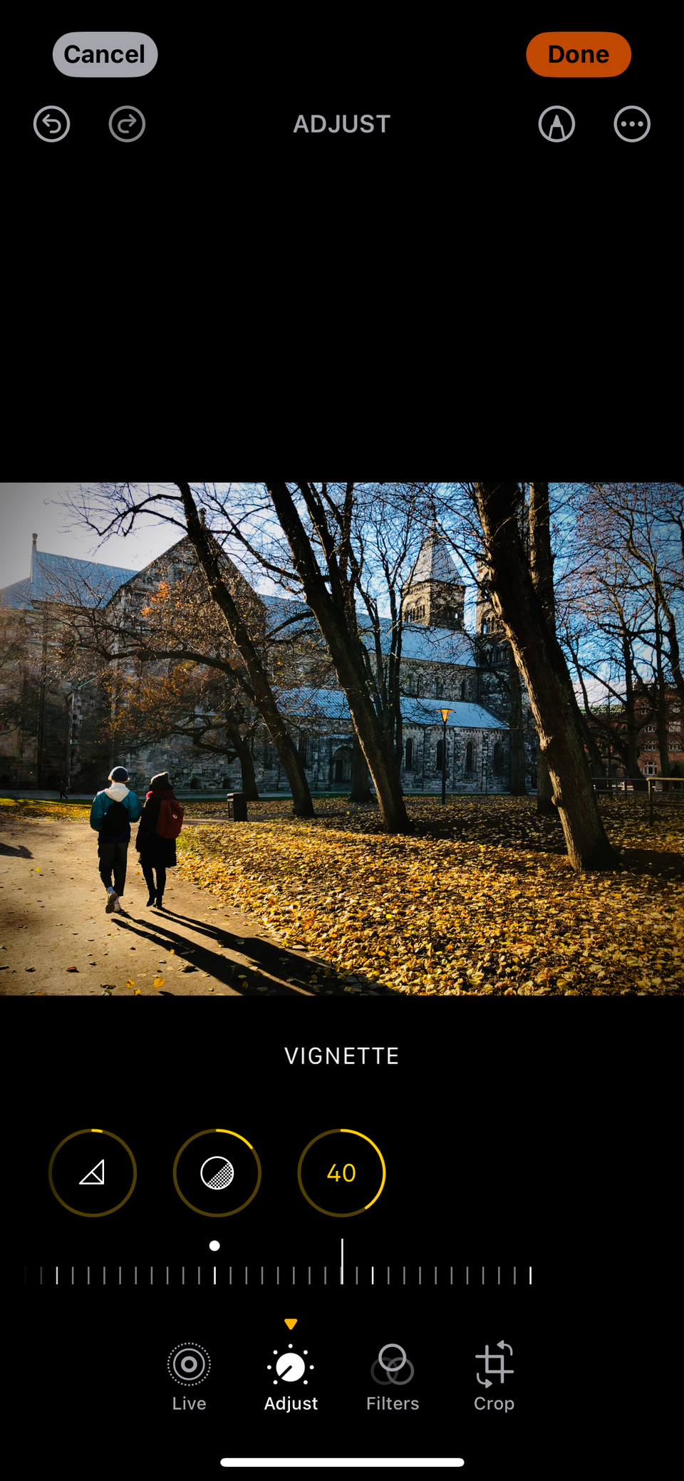 The Best Ways to Use the Vignette Effect on Your Smartphone Photos