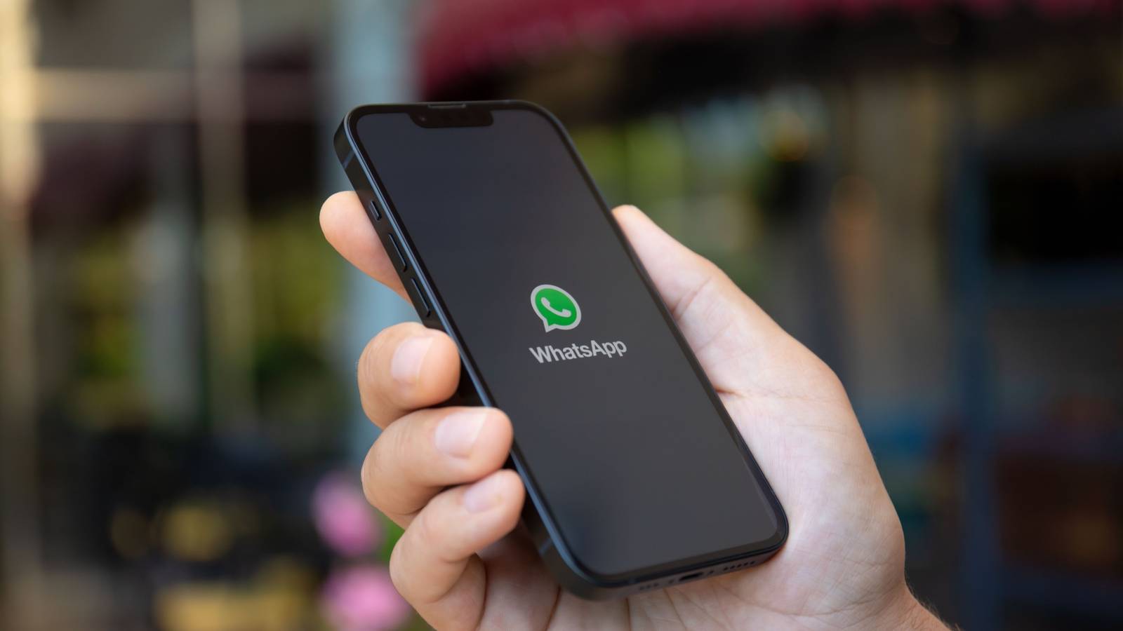 What to Do When a Random Person Messages You on WhatsApp