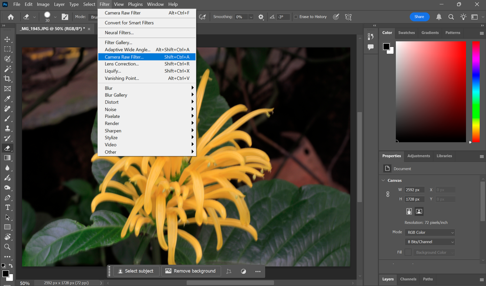 Why Lens Blur Is My Go-To Photoshop Tool for Artful Edits