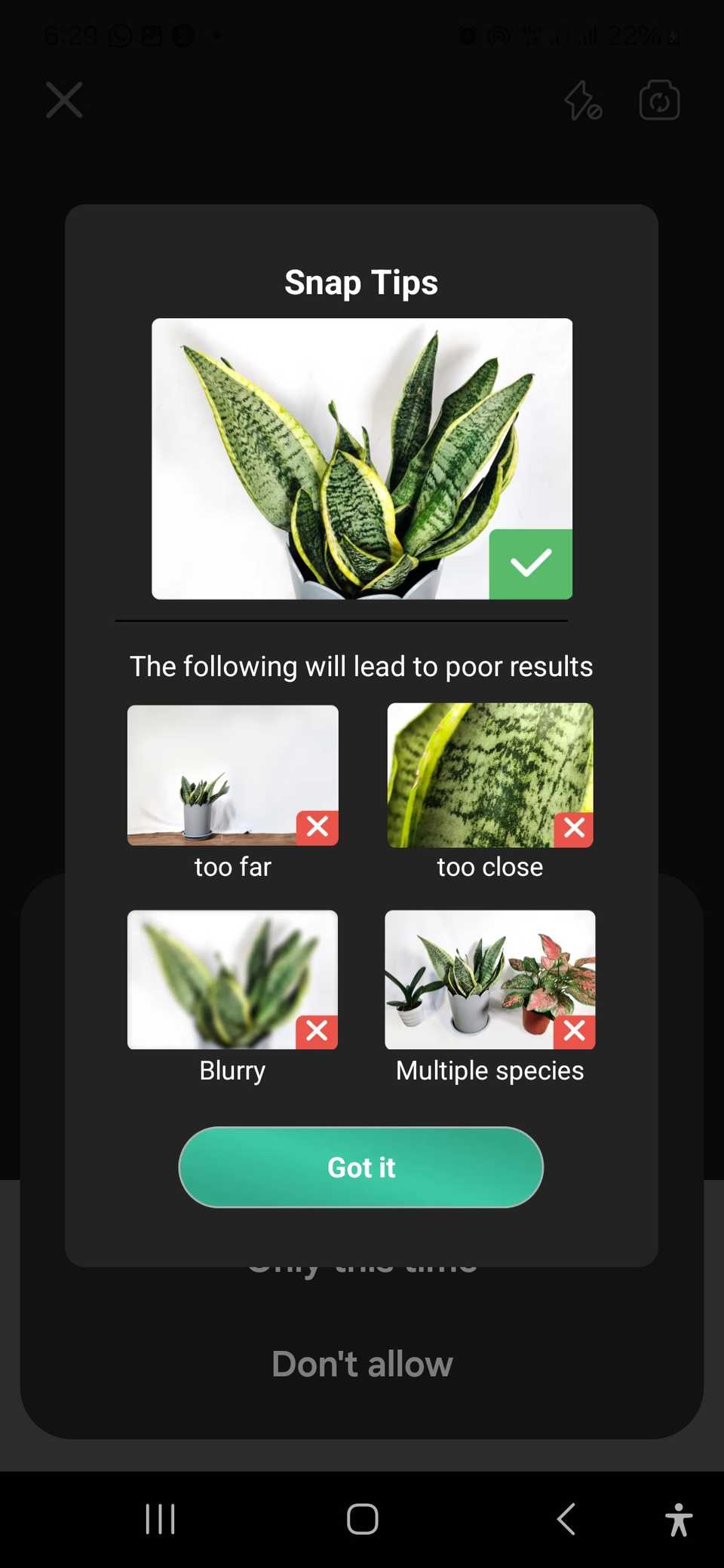 The 8 Best Apps to Identify Anything Using Your Phone's Camera