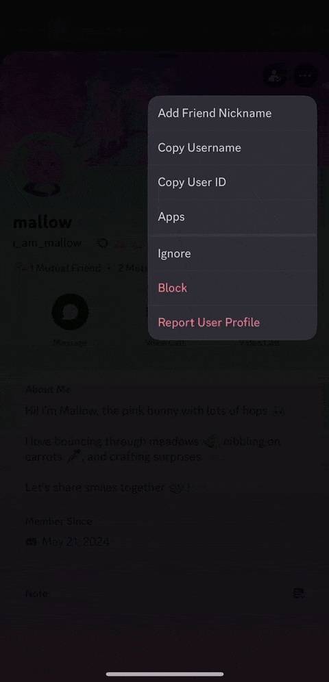 Now You Can Silence That One Friend on Discord Without Hurting Their ...