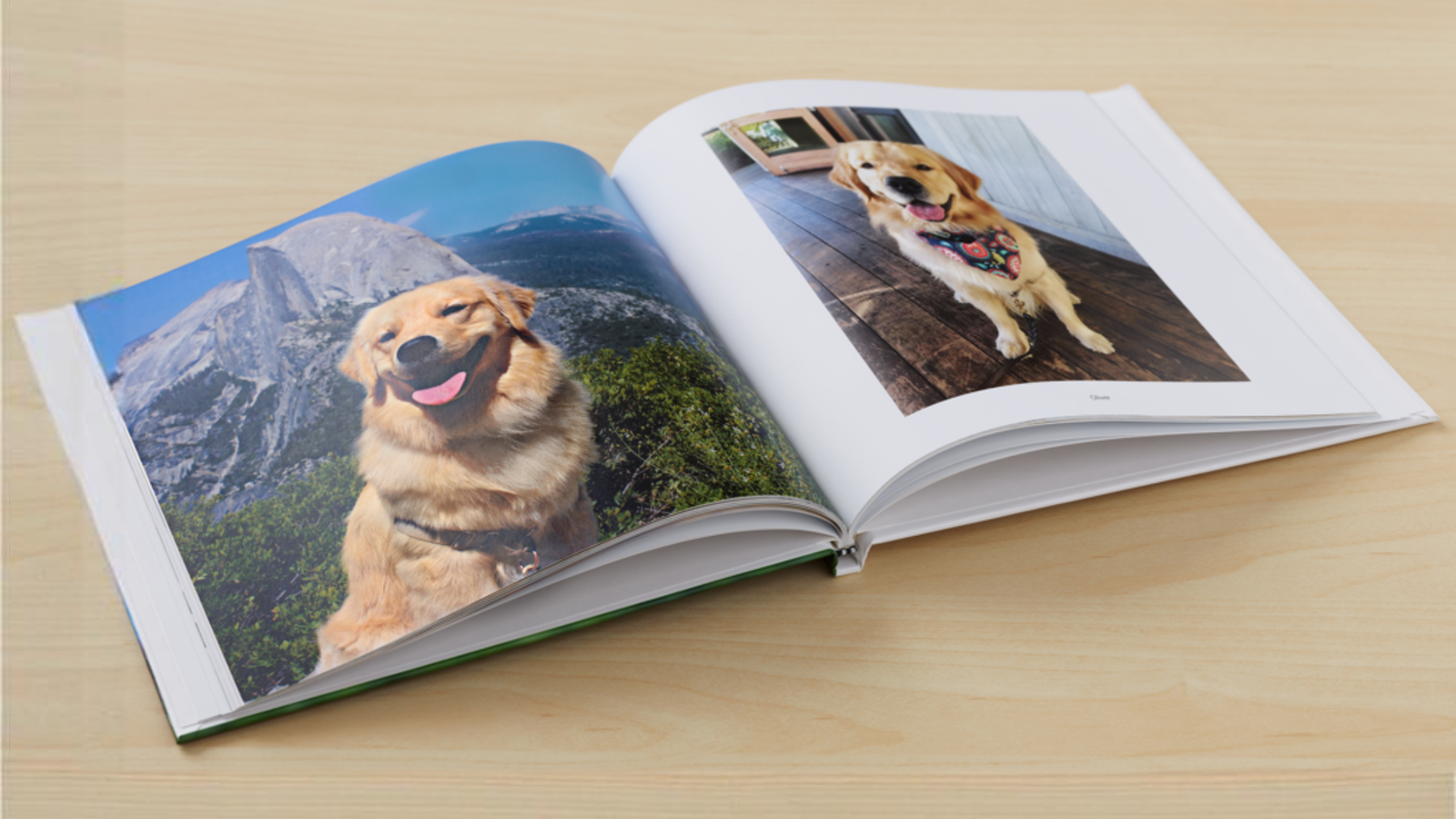 This underrated Google Photos feature is perfect for preserving your ...