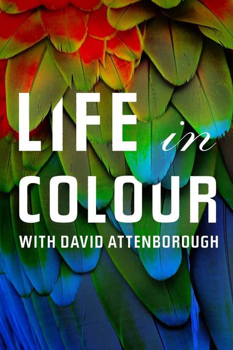Watch these Attenborough documentaries if you think nature docs are boring