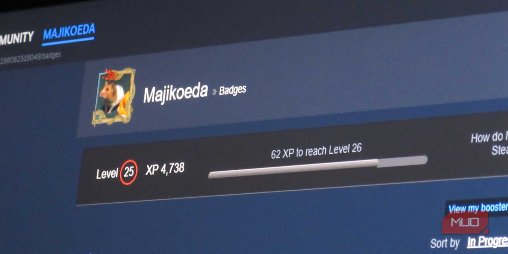 Should You Really Care About Your Steam Level?