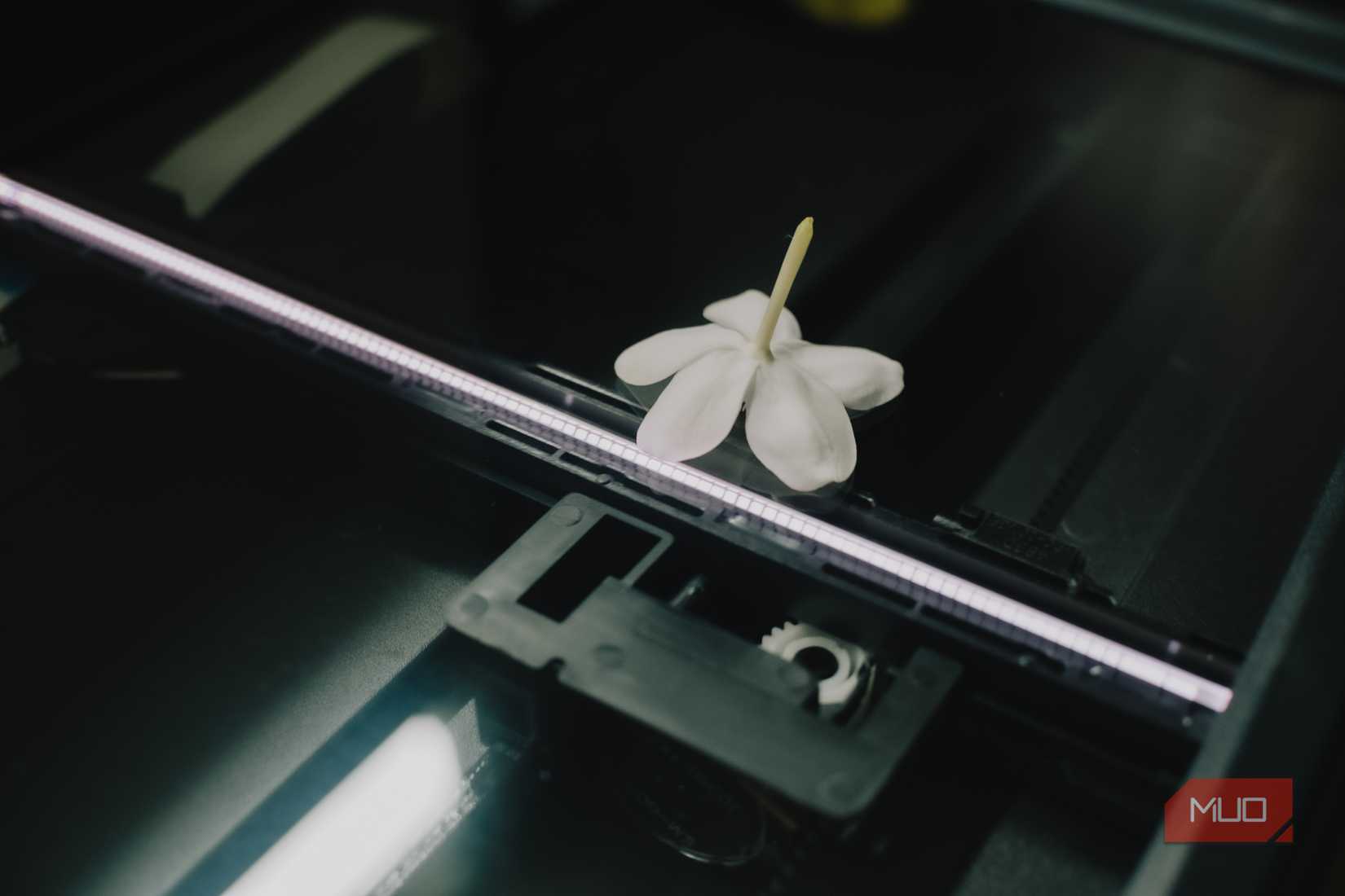 4 Creative Ways to Use a Printer Scanner