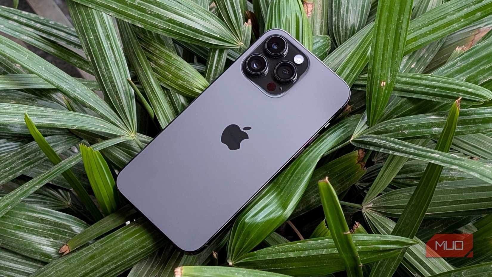 Why I Can't Switch Back to a Non-Pro iPhone