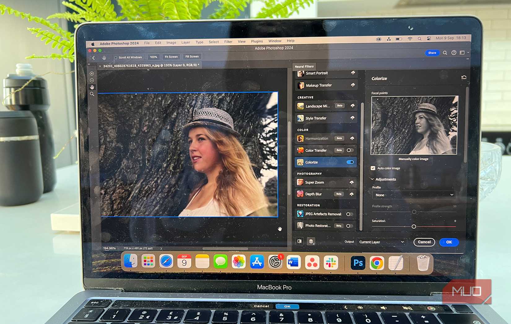 Photoshop vs. Pixlr for Editing Photos: How Do They Compare?