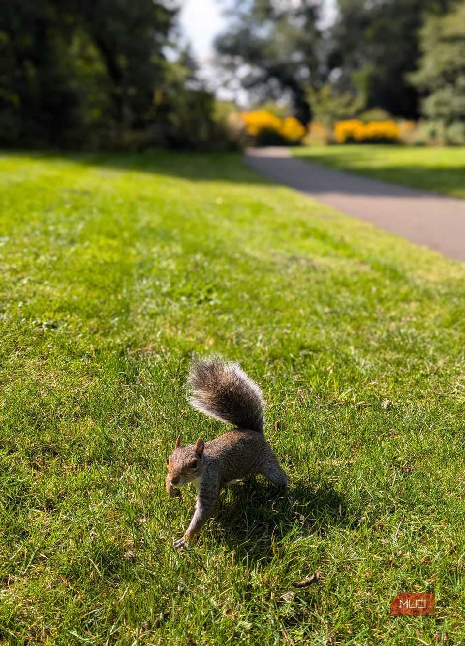 Google Photos Has Finally Added a Long-Awaited Editing Feature