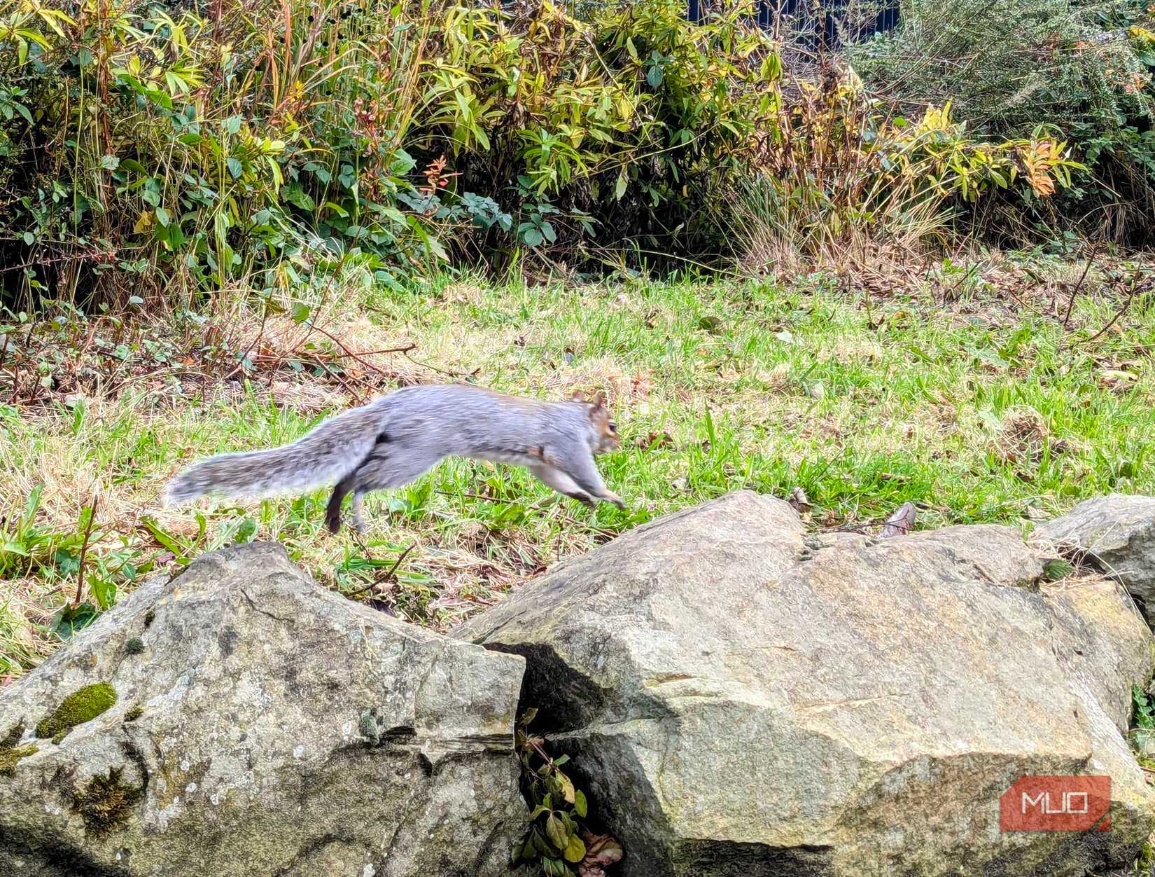 7 Creative Ways to Use the Grid Lines on Your Smartphone for Better Photos