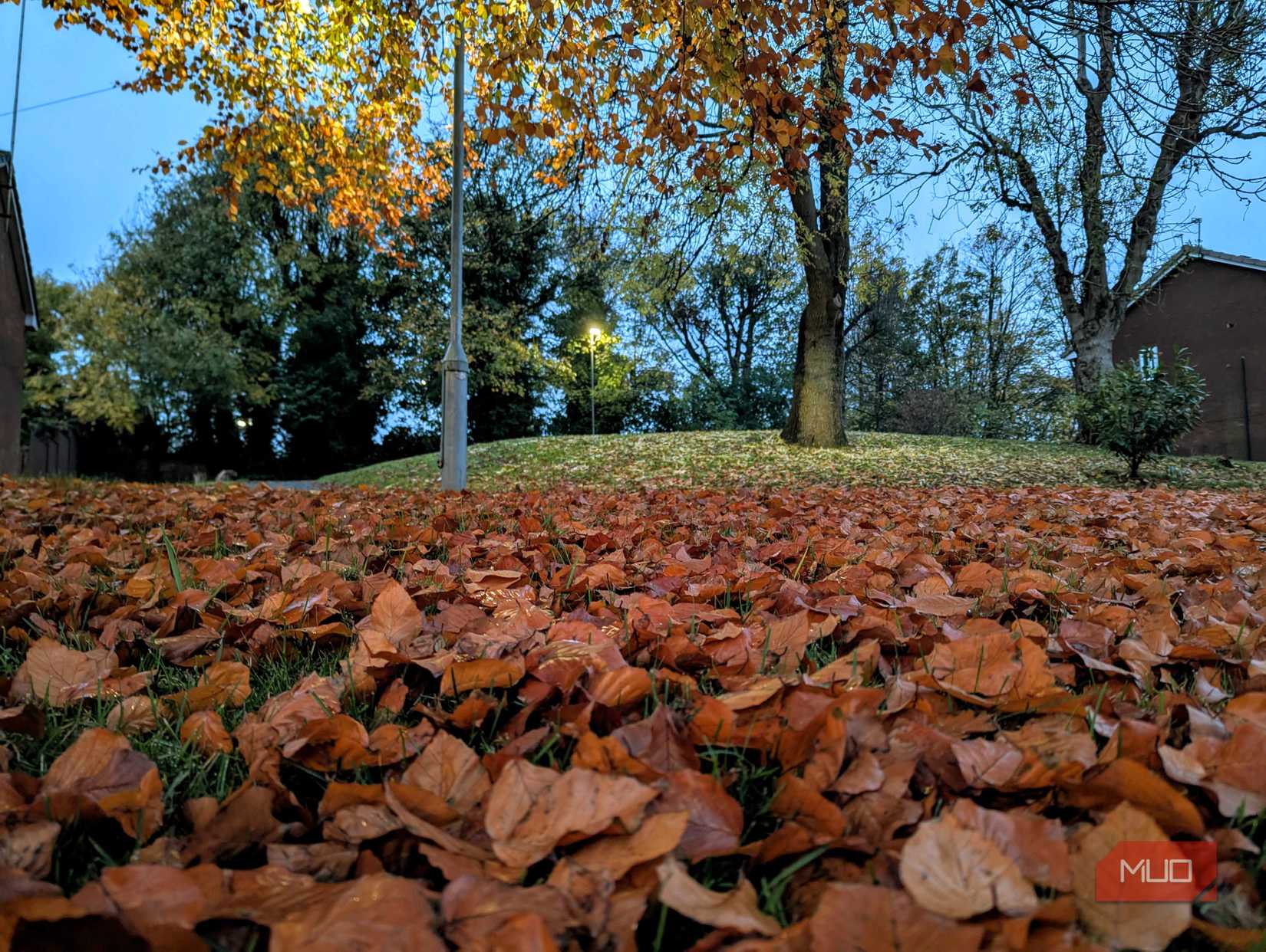 7 Smartphone Photography Tips for Shooting in the Fall