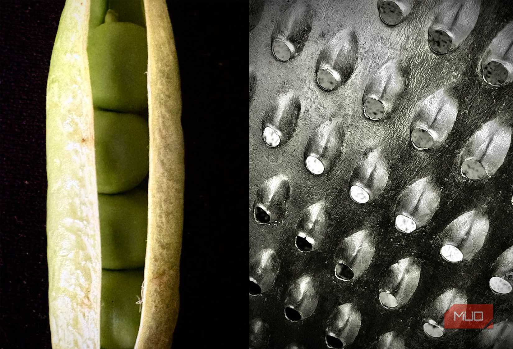 How My iPhone 16 Transforms Everyday Objects Into Stunning Macro Art